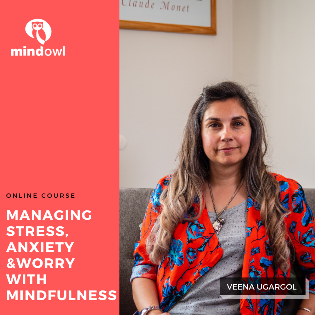 Emotional Intelligence Bundle - MindOwl