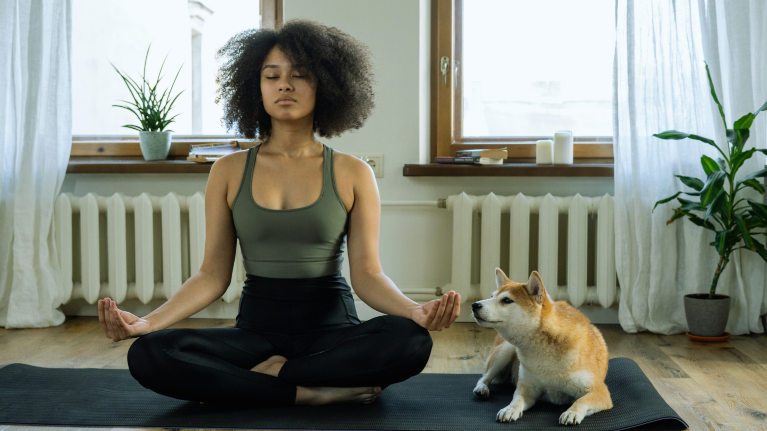 The Six Main Types Of Meditation - MindOwl