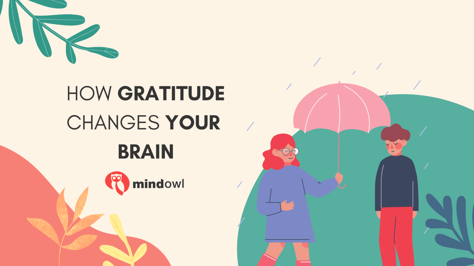 How Gratitude Changes Your Brain - MindOwl