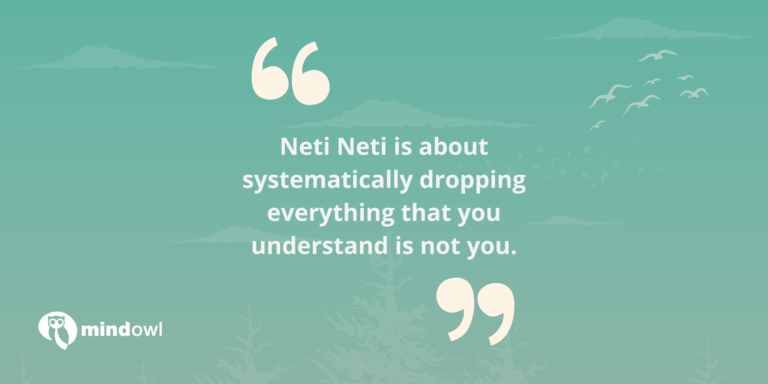 Neti Neti Meditation: How To Find Your True Self - MindOwl