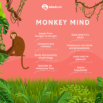 How To Train Your Monkey Mind - MindOwl